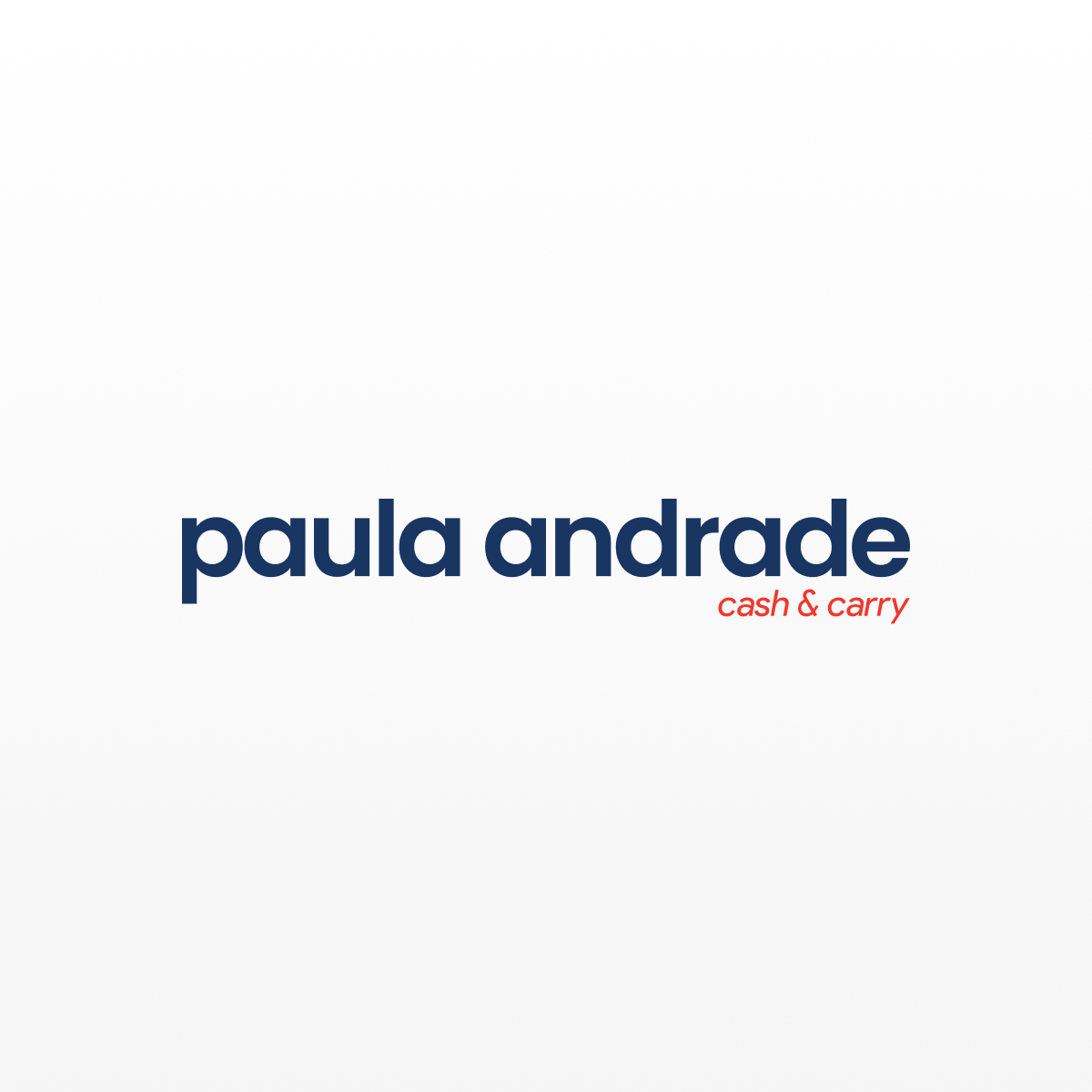 Fatos Menino - Paula Andrade